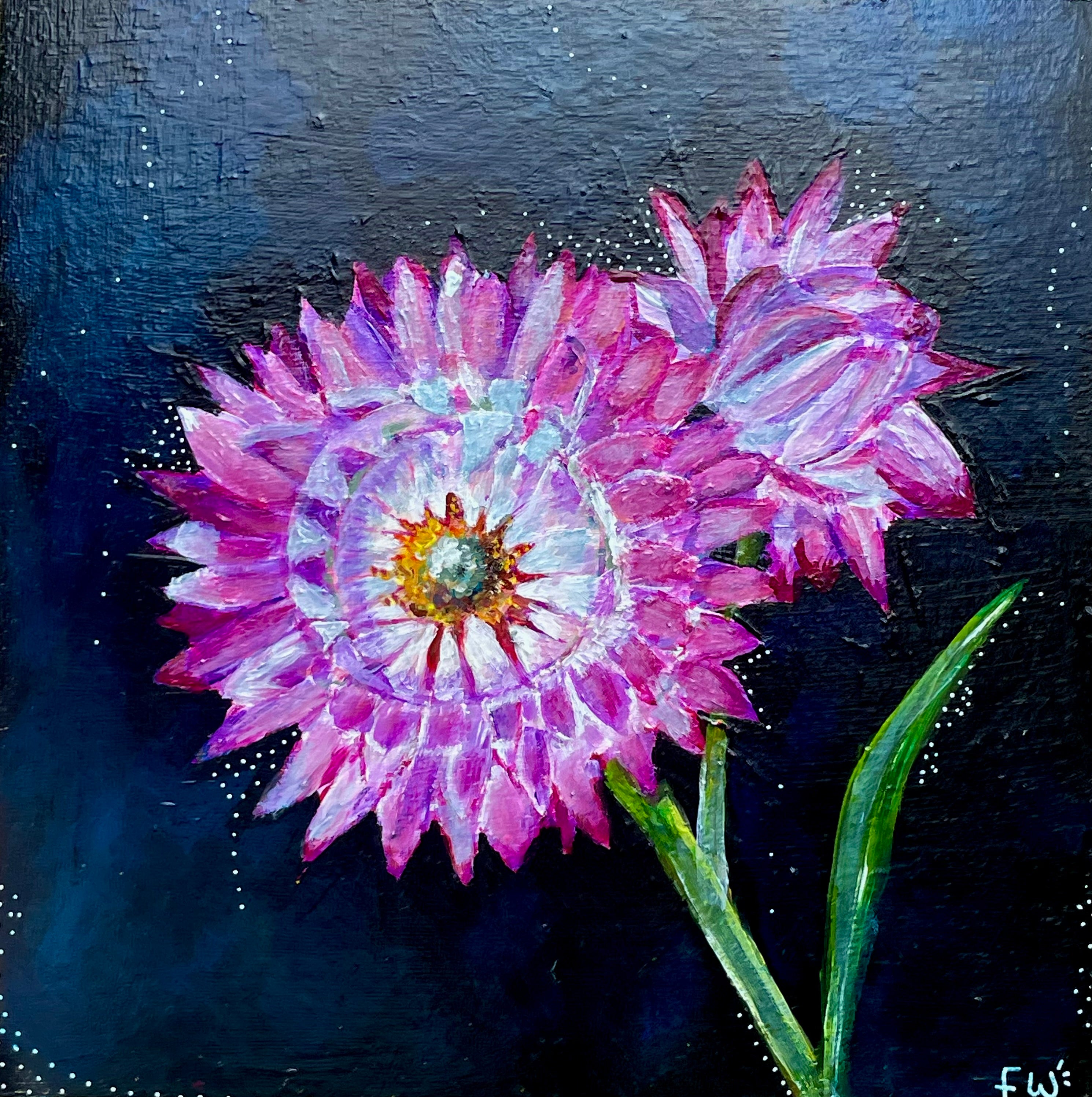 Oopsie, Daisy – FionaWood